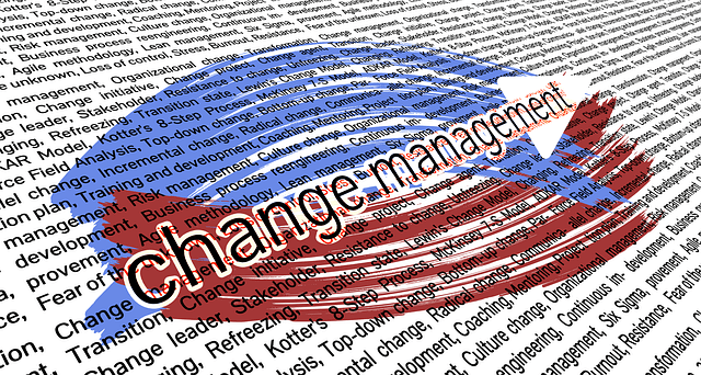 Change Management for Senior Executives | Dr Tutor Elite